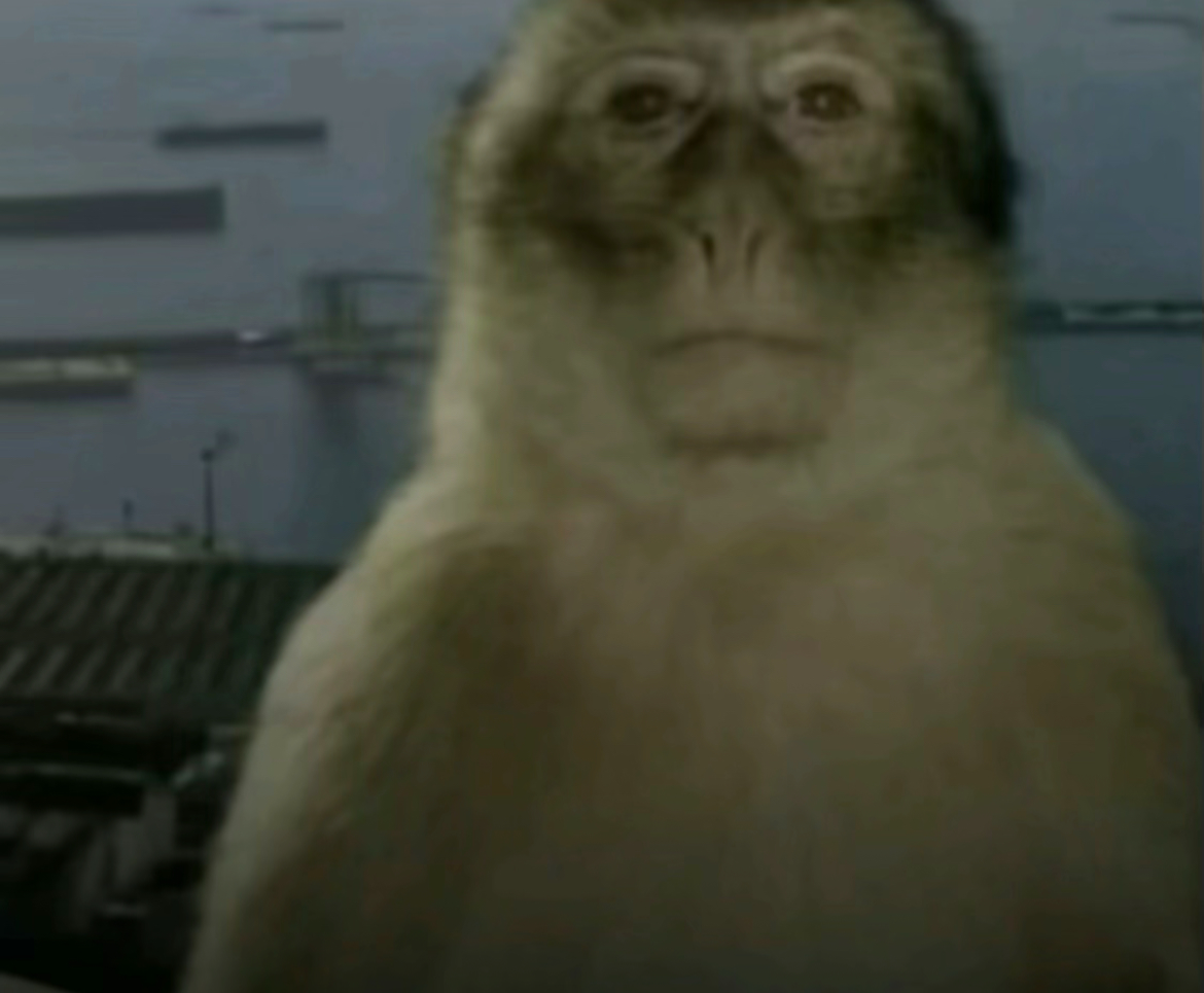 EDDIE KASPBRAK ‎ . ݁⋆ ꫂ᭪ ݁˖ . ݁