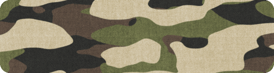 Hayden 🎖️ The politician fierce bodyguard