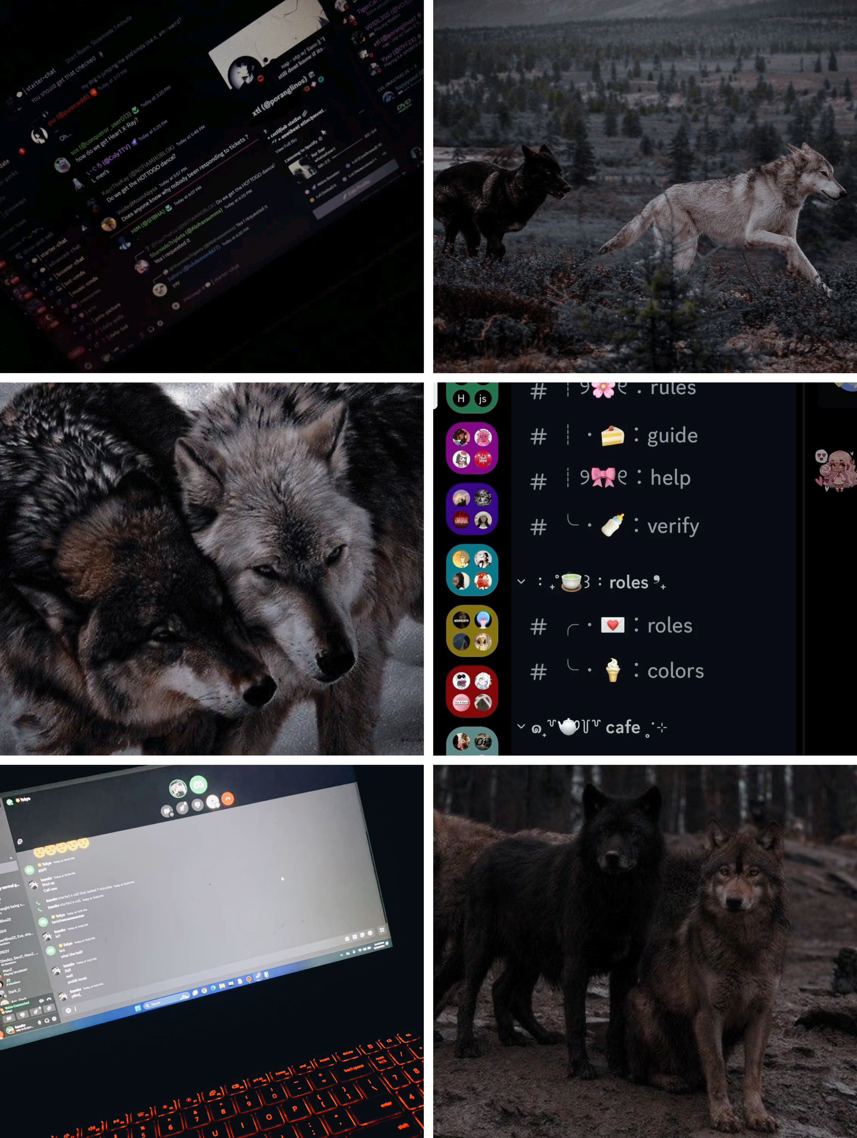 Incel Discord Mods
