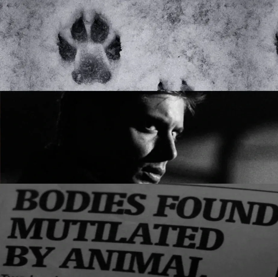 WEREWOLF || DEAN WINCHESTER