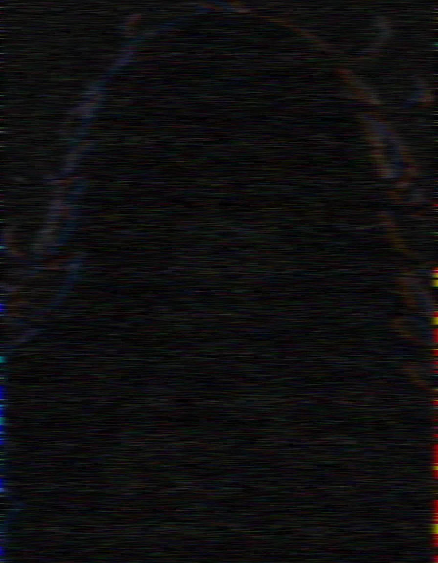 Chat with Idol's Attraction [HELP WANTED] (Night Guard Pov)