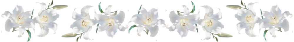 Chat with Asher Graves ☆ 2000s OC