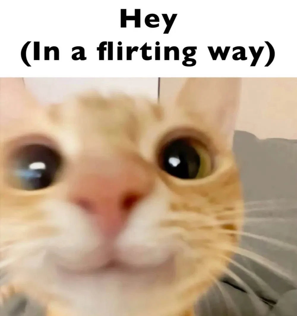 Gigi | Bitchy Goblin