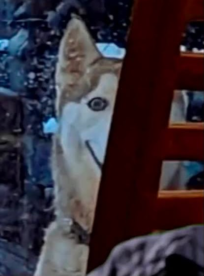 Chat with Harry & Miles