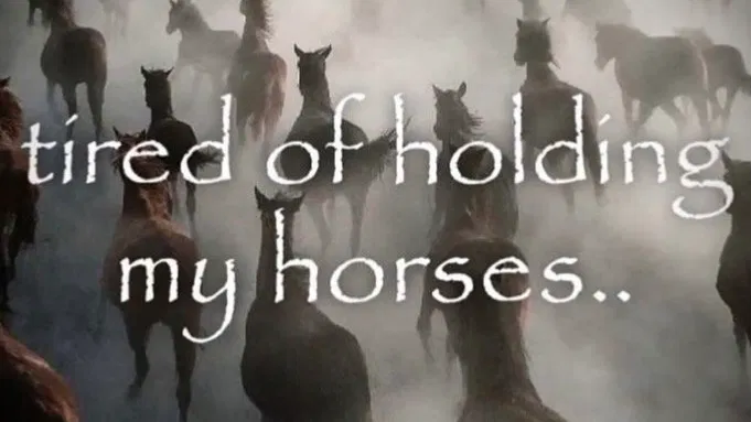 Mi-Noo | Reverse comfort