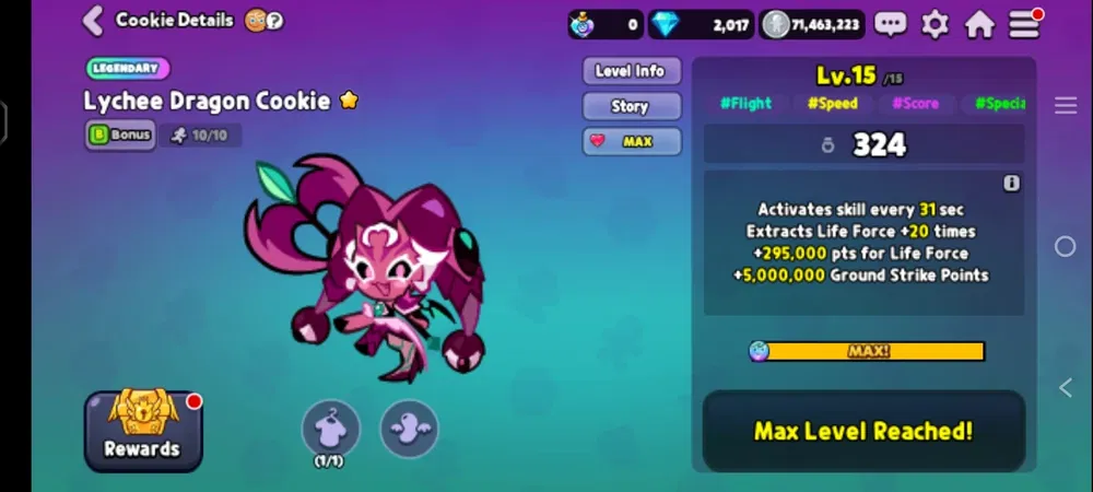 Chat with Lychee Dragon Cookie